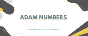 Adam Number - The Brainbox Tutorials